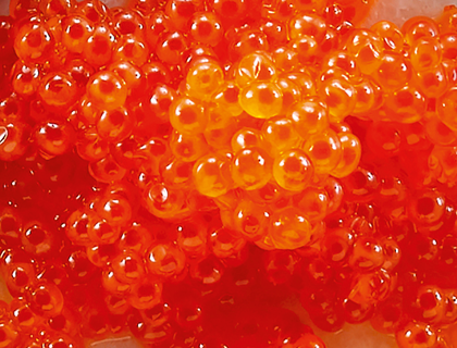 Caviar